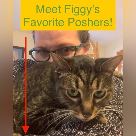 Cat | Follow Our Favorite Posh Friends | Poshmark